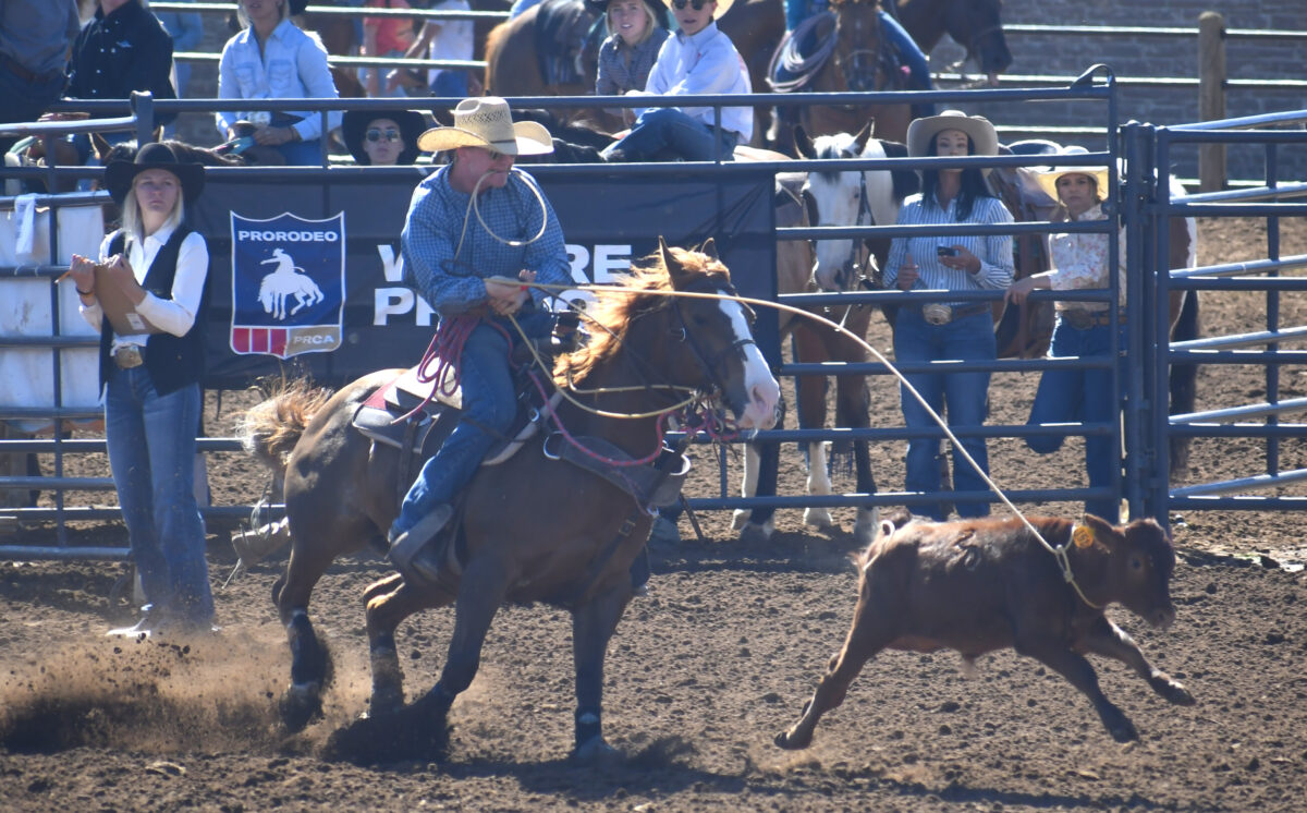Sanpete athletes compete at the 2024 state high school rodeo finals ...